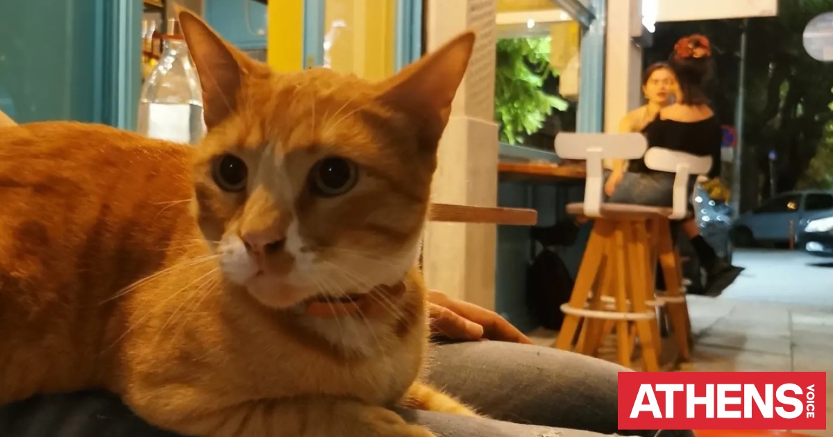 Οδός Ολύμπου: Πάντα ήταν αλλιώτικη από τις άλλες | Athens Voice