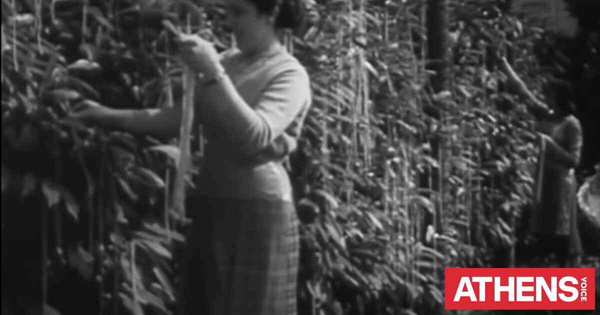Σαν σήμερα 1η Απριλίου 1957: Ήταν αυτή η καλύτερη φάρσα στην ιστορία ...