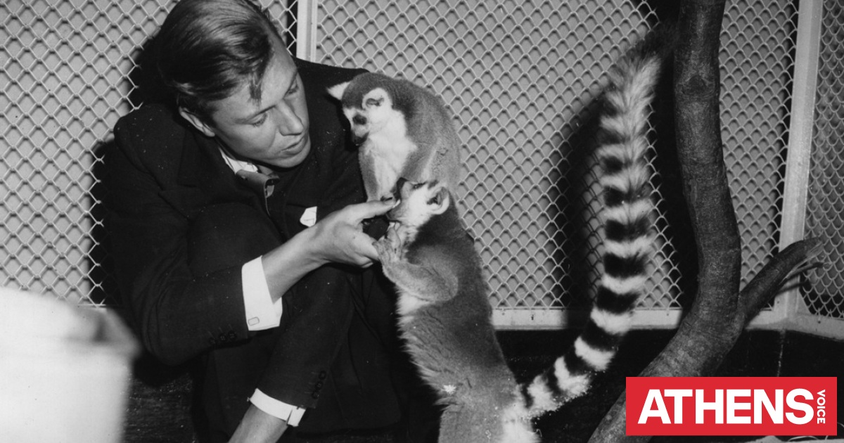 70 χρόνια «Sir» Ντέιβιντ Ατένμπορο, ο άνθρωπος που έφερε τη φύση «μέσα ...