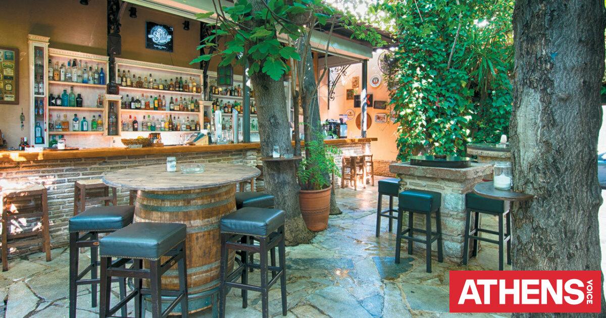 Mojo Club: Specialty coffee σε καταπράσινο κήπο | Athens Voice