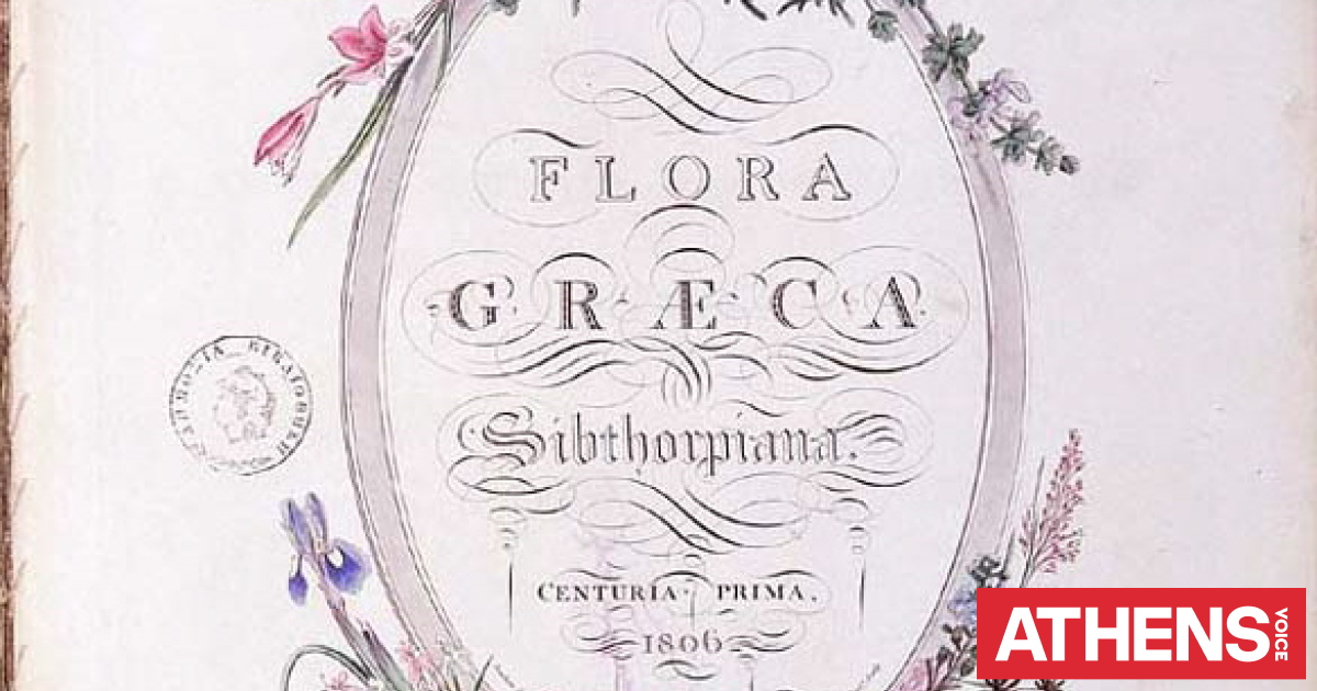 «FLORA GRAECA. Υπέροχη ελληνική χλωρίδα» | Athens Voice