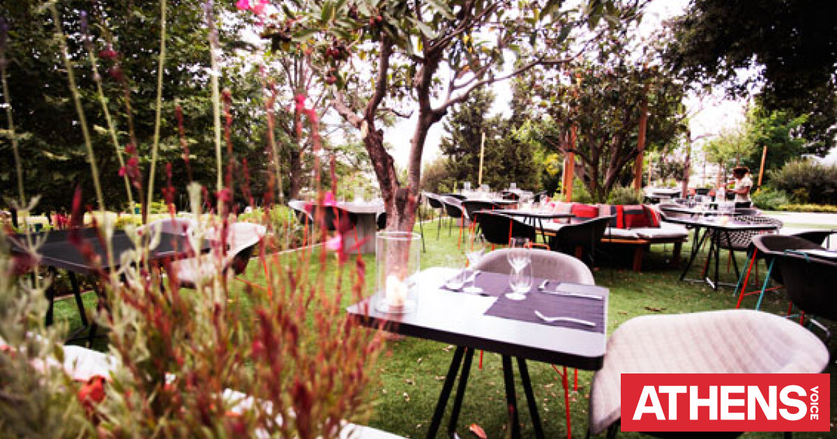 Η Fuga μαγειρεύει… Μαμαλάκη | Athens Voice