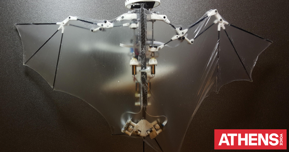 Bat Bot: Αυτό είναι το πρώτο ρομπότ νυχτερίδα | Athens Voice