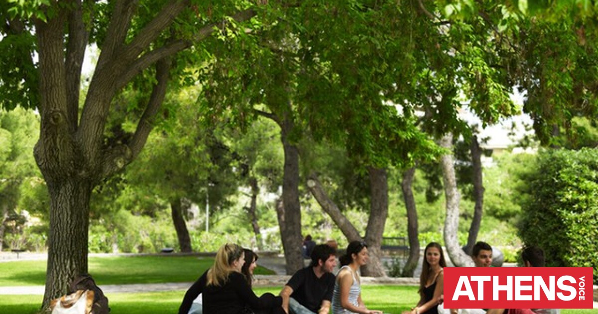 Υποτροφίες σπουδών στο Deree | Athens Voice