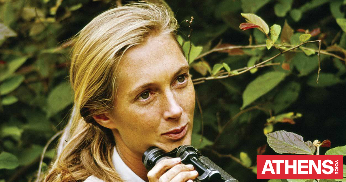 Jane: Μια συγκλονιστική γυναίκα και ένα ντοκιμαντέρ για να γίνουμε ...