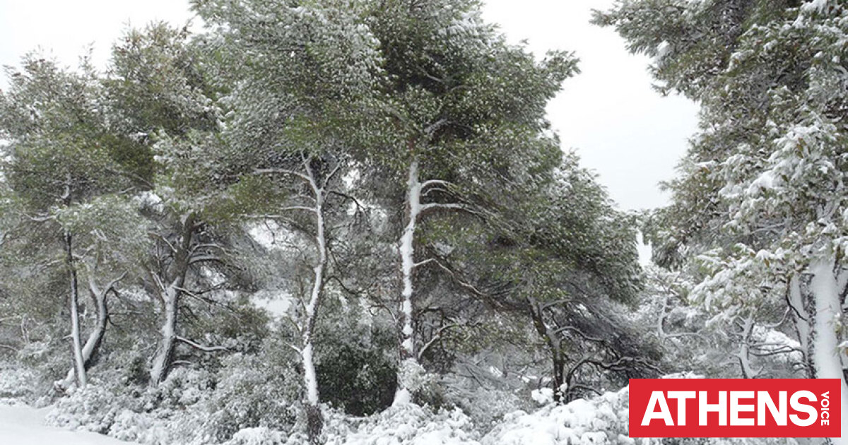 Meteo: Στο 10% η χιονοκάλυψη τον Απρίλιο στην Ελλάδα | Athens Voice
