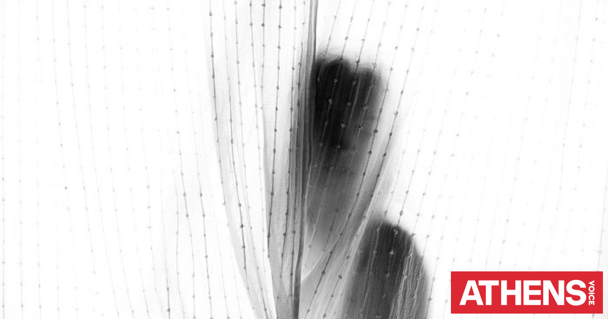 Trava Bros: «Έλα μισό στο ένα σου» στο Γυάλινο Μουσικό Θέατρο – Up Stage | Athens Voice