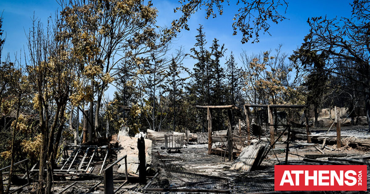 Φυσικές καταστροφές: Χρηματοδότηση 5 εκατ. ευρώ για πρόληψη | Athens Voice