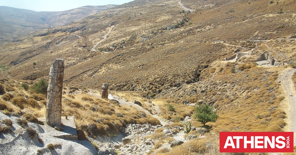 Το απολιθωμένο δάσος της Λέσβου στα 100 Μνημεία Γεωλογικής Κληρονομιάς ...