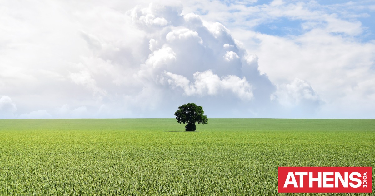 Πρόγραμμα της Bayer Ελλάς, με όραμα το «Υγεία και Τροφή για όλους ...