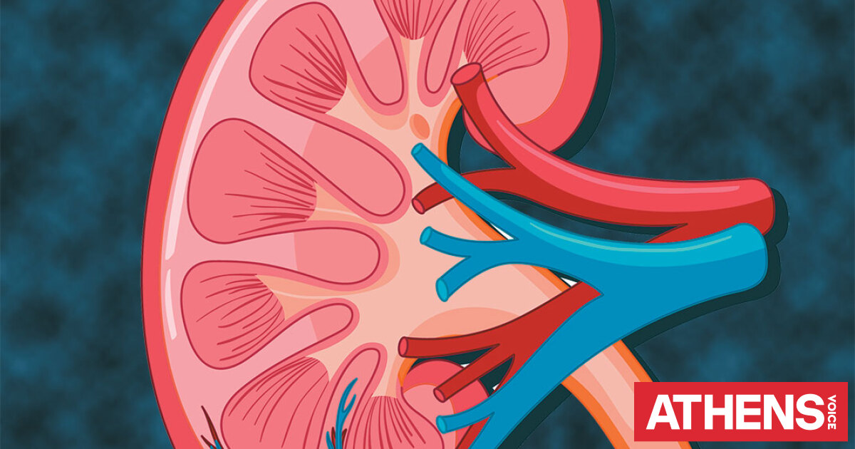 Νέα εποχή στον καρκίνο του νεφρού | Athens Voice