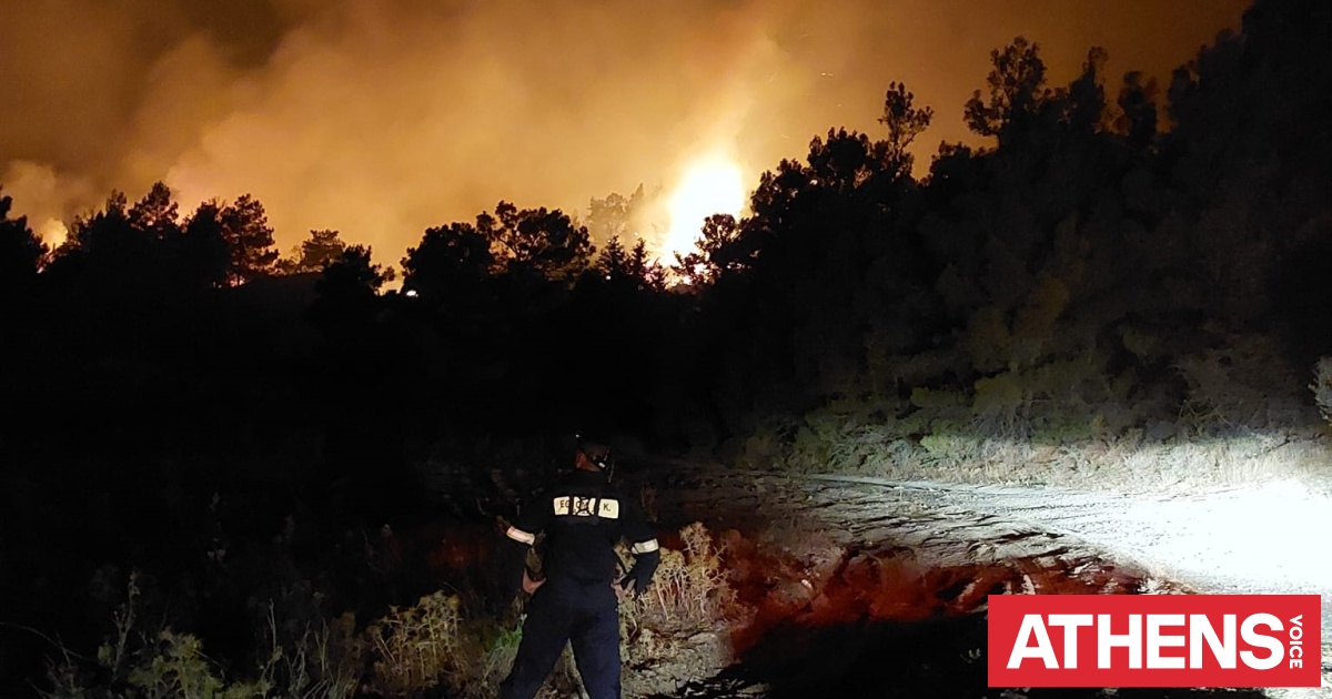 Φωτιά τώρα στη Ρόδο: Καίγεται πυκνό δάσος | Athens Voice