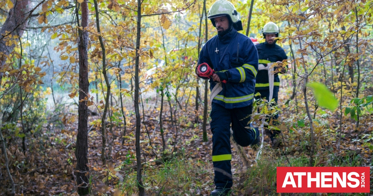 Εθελοντές Δασοπροστασίας: Διετές πρόγραμμα υποστήριξης σε ομάδες ...