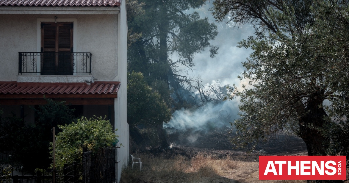 Πυροπροστασία: Οδηγός για τα δασικά ακίνητα και ακαθάριστα οικόπεδα ...