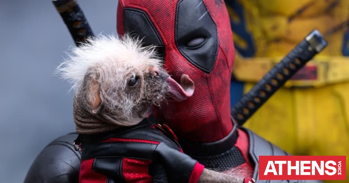 Deadpool & Wolverine: Ποια είναι η Dogpool; | Athens Voice