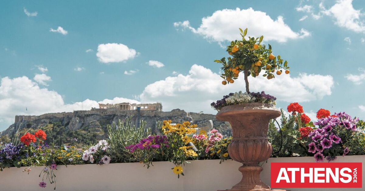 Voila: Brunch με θέα την Ακρόπολη | Athens Voice