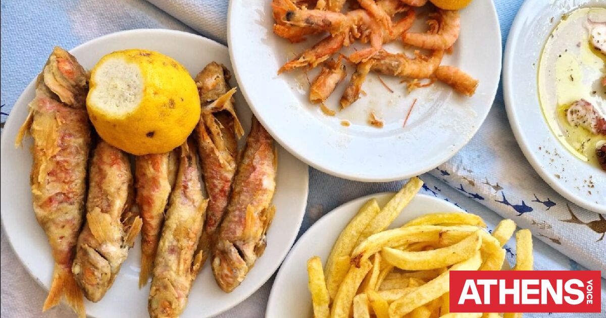 Μόσχος και Κοχύλι, δυο ψαροταβέρνες «αγκαλιά», λίγα βήματα από την ...