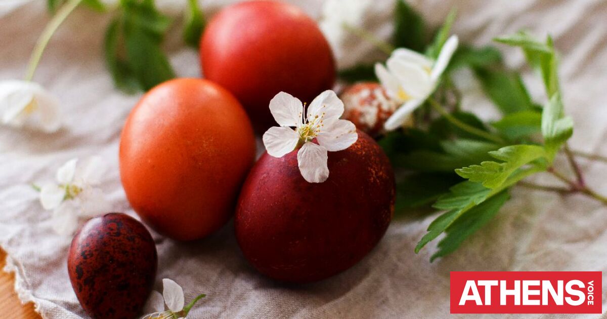 Βαμμένα κόκκινα αυγά, από τα χέρια σου. Βήμα - βήμα η διαδικασία ...