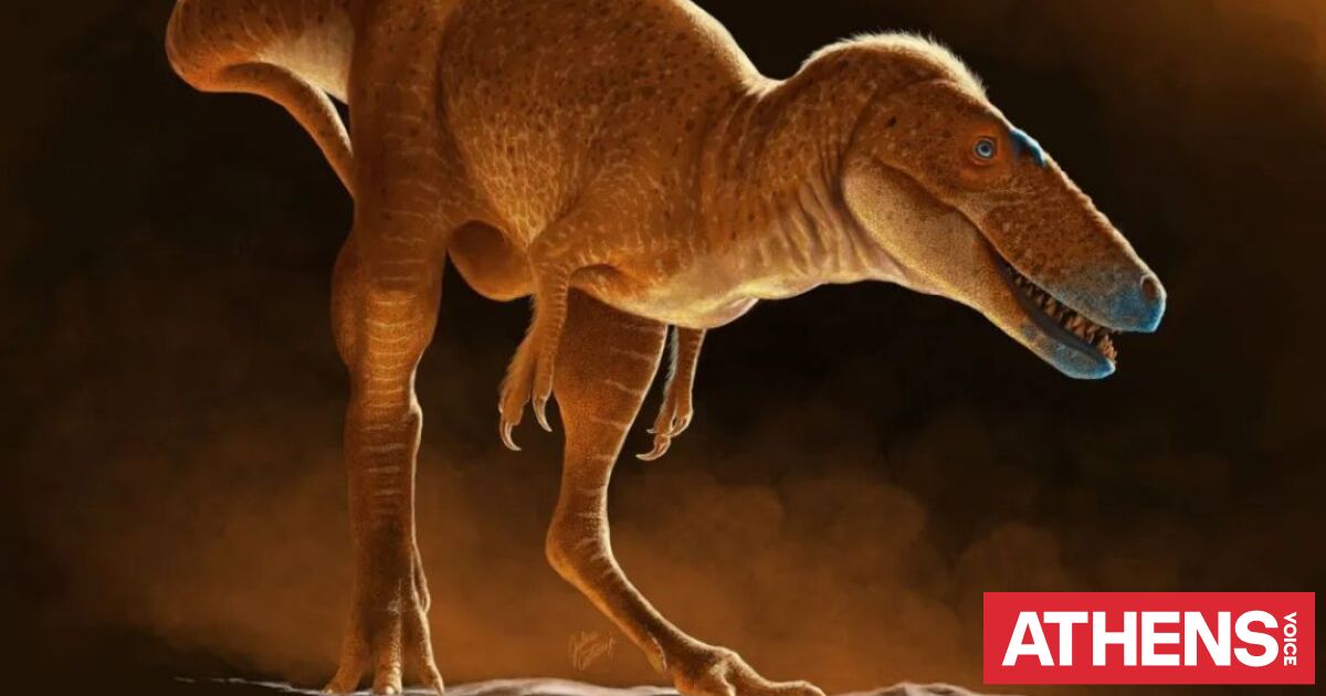 Ανακαλύφθηκε νέο είδος δεινοσαύρου που ξαναγράφει το οικογενειακό δέντρο του Τ.rex | Athens Voice