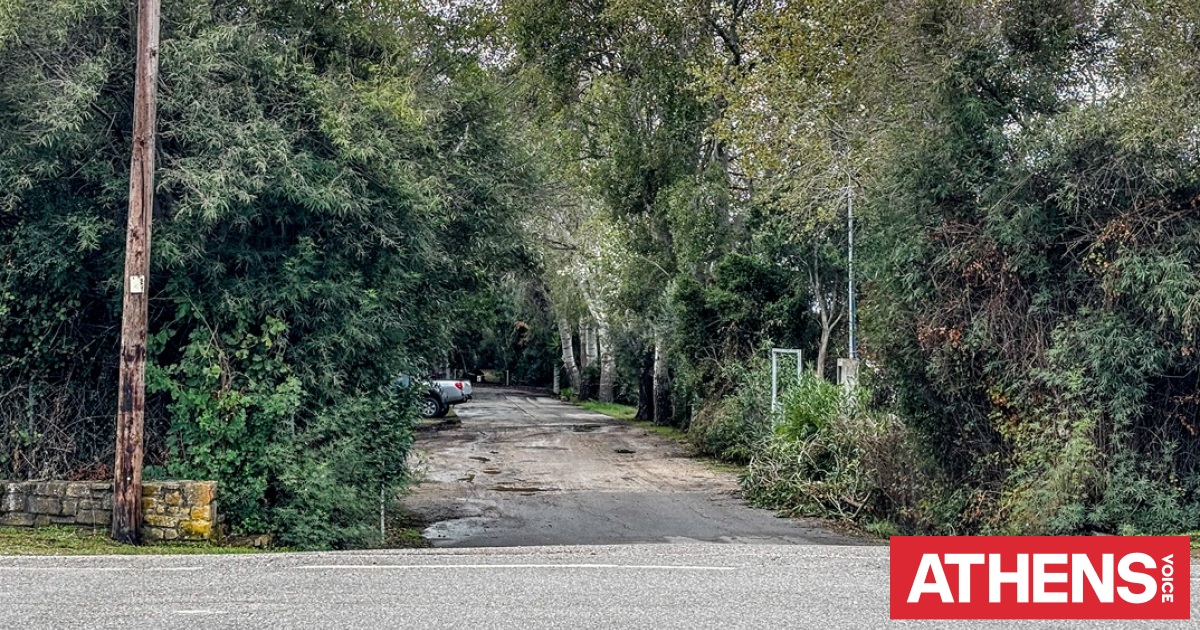 Ραγδαίες εξελίξεις για το φονικό στη Φοινικούντα: Ο 22χρονος κατονόμασε ...