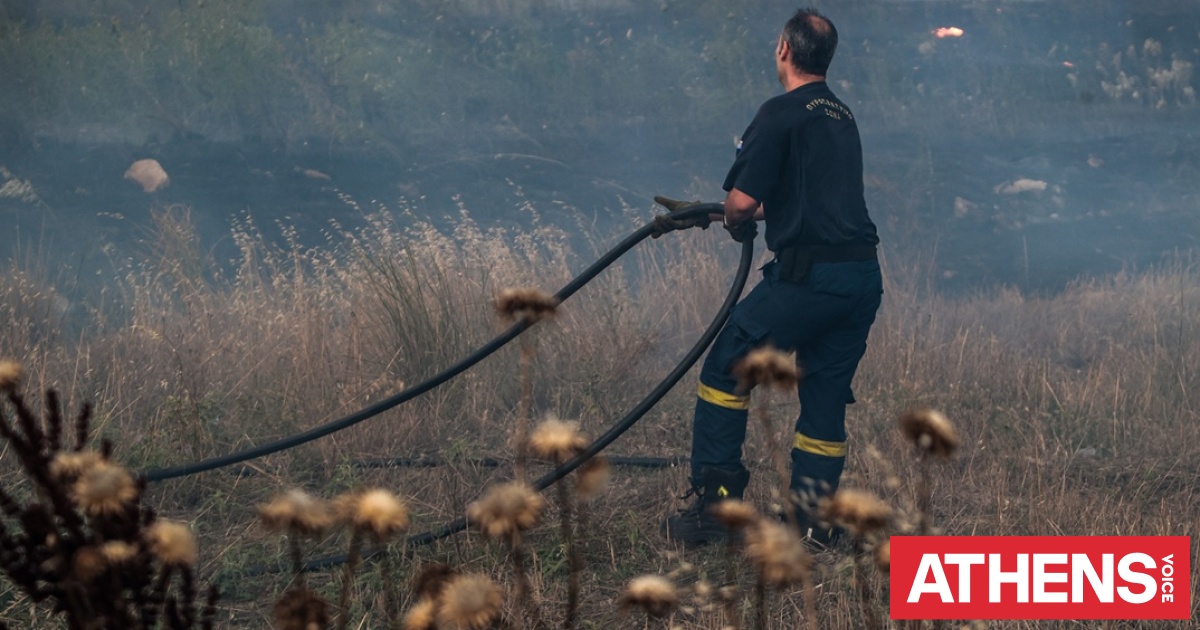 Φωτιά τώρα στη Φωκίδα | Athens Voice