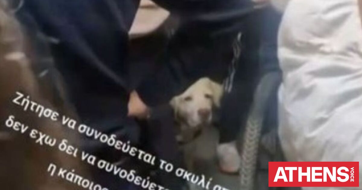 Μπορούν τελικά τα σκυλάκια να μπαίνουν στο τρένο του ΗΣΑΠ; | Athens Voice