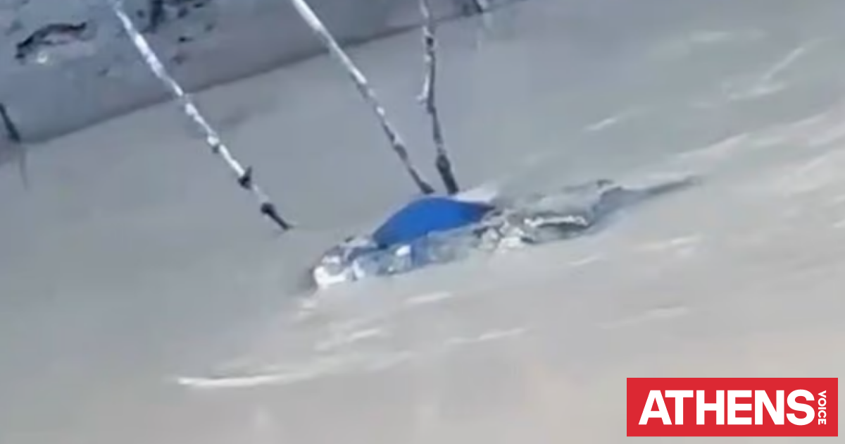 Ινδονησία: Κροκόδειλος άρπαξε 15χρονο ενώ ψάρευε σε όχθη ποταμού ...